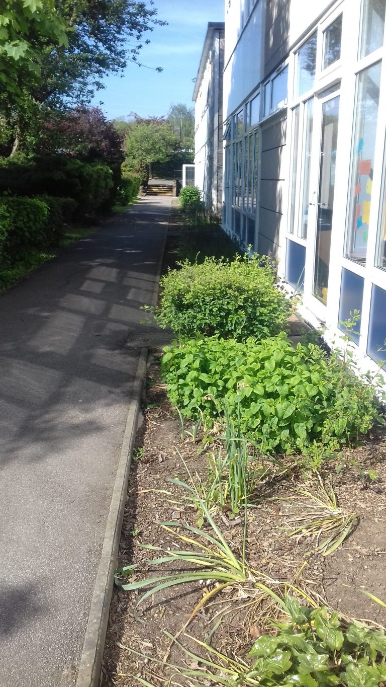 Commonswood School - Groundwork