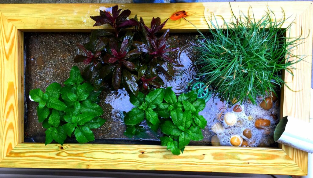 How to Create a Rain Garden Planter - Groundwork