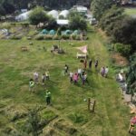 The Green Patch - Groundwork