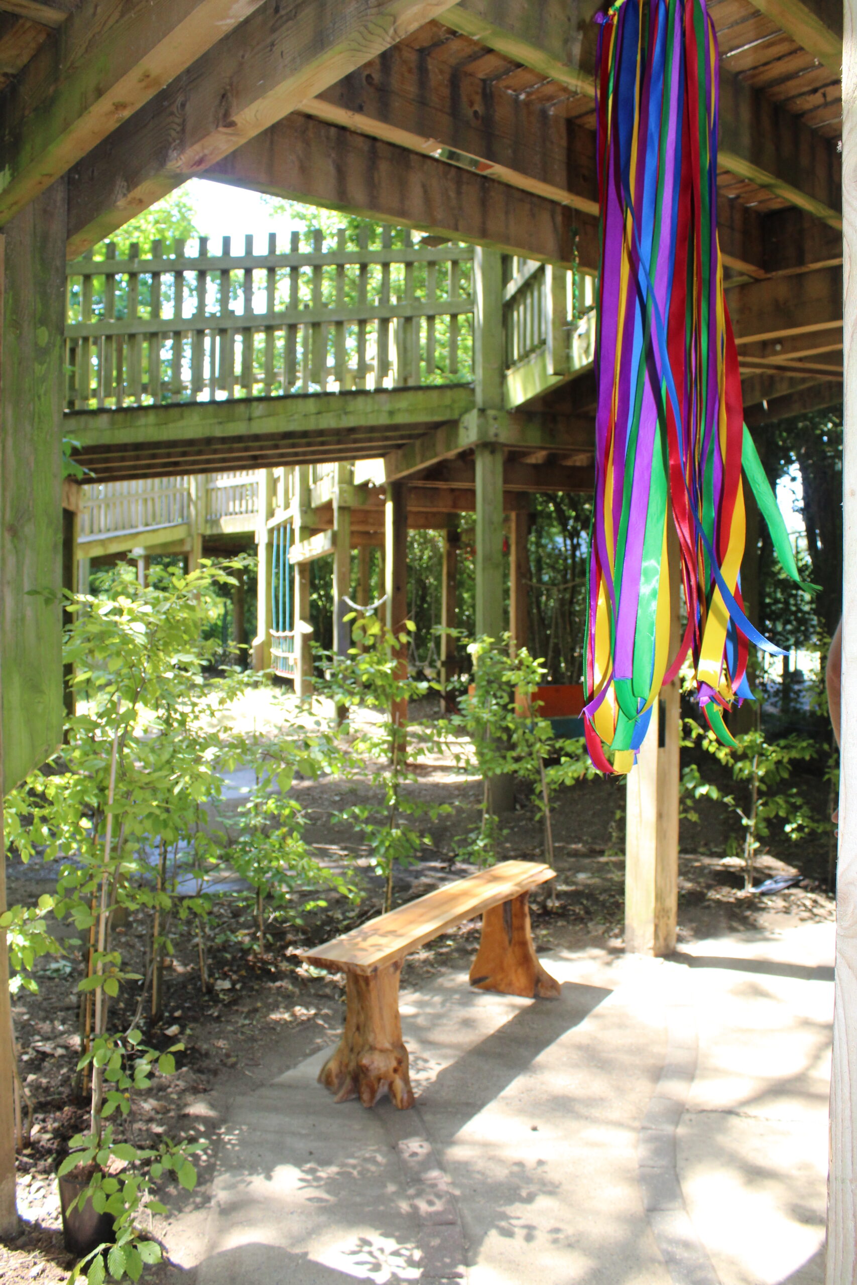 Our Space Award: Lady Allen Secret Nature Garden for Wellbeing and ...