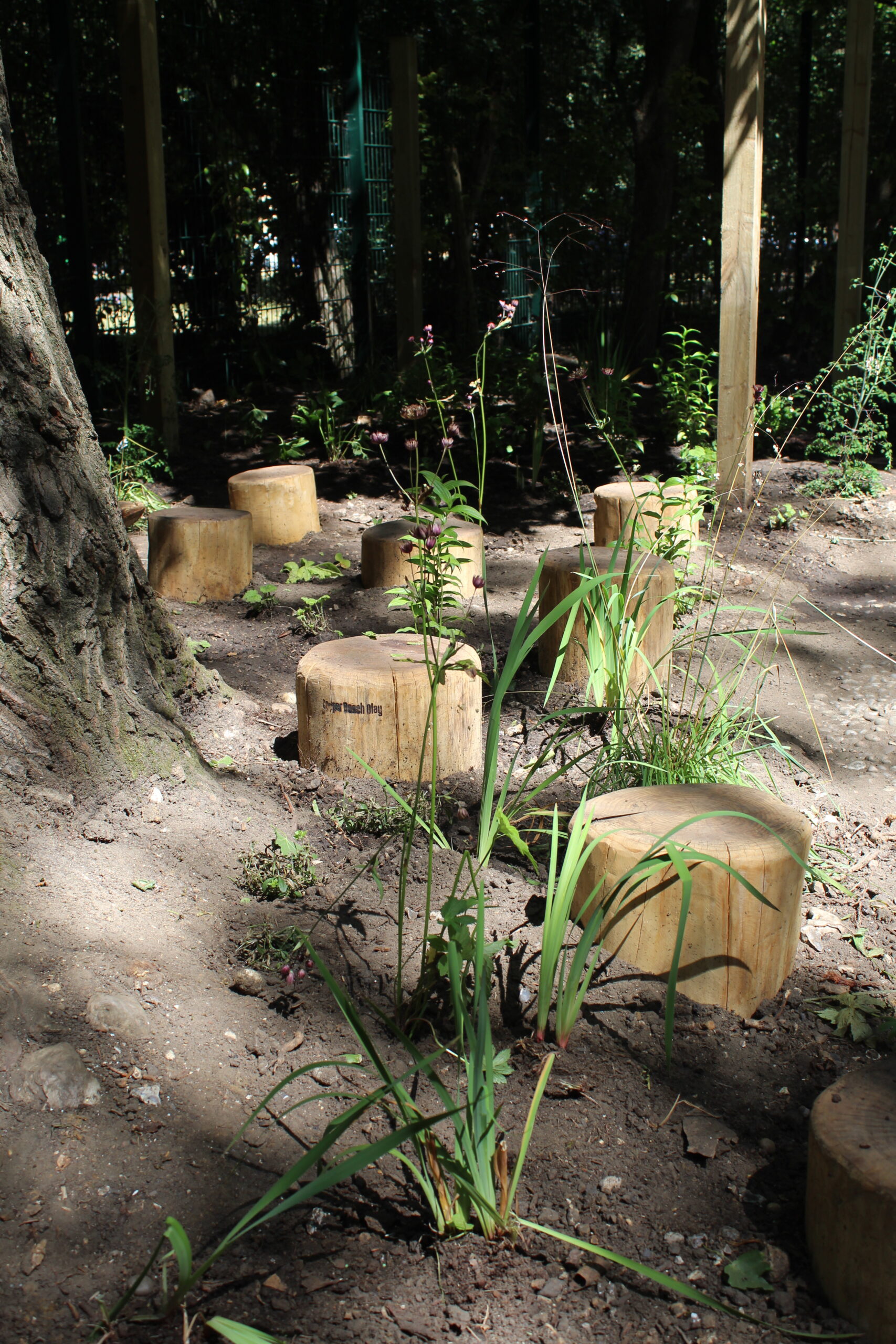 Our Space Award: Lady Allen Secret Nature Garden for Wellbeing and ...