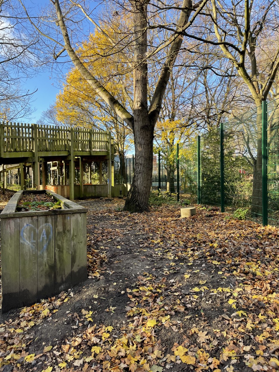 Our Space Award: Lady Allen Secret Nature Garden for Wellbeing and ...