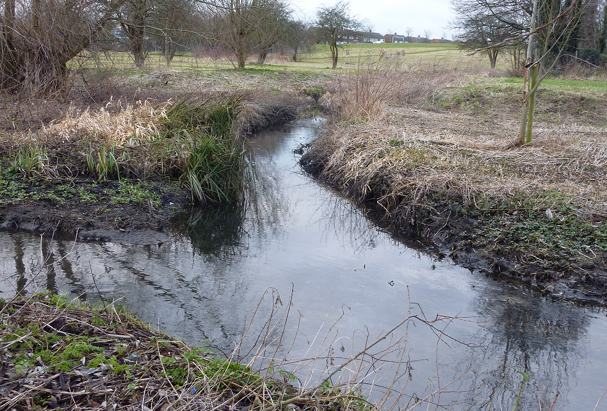 The River Lea conservation - Groundwork