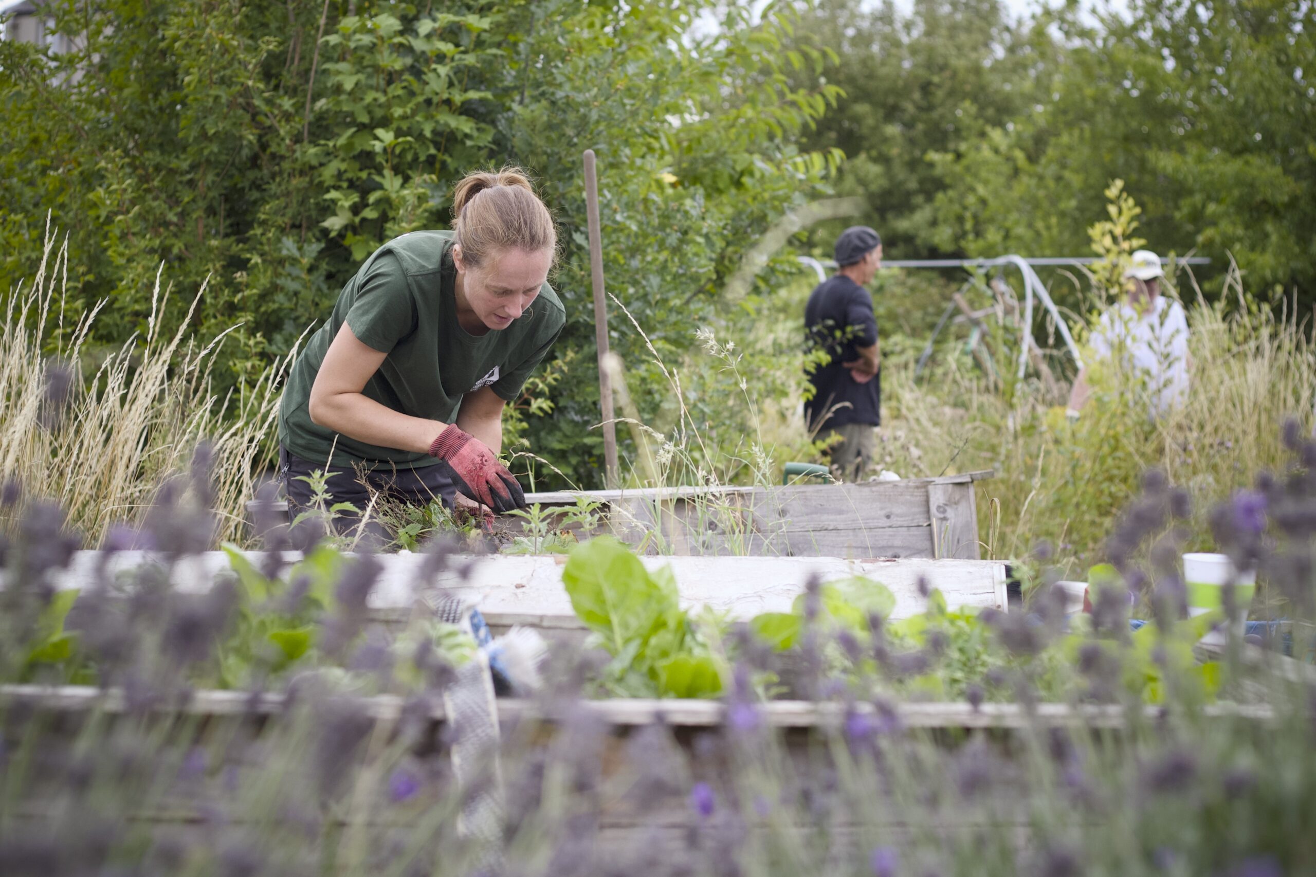 Partner with Green Community Hubs - Groundwork