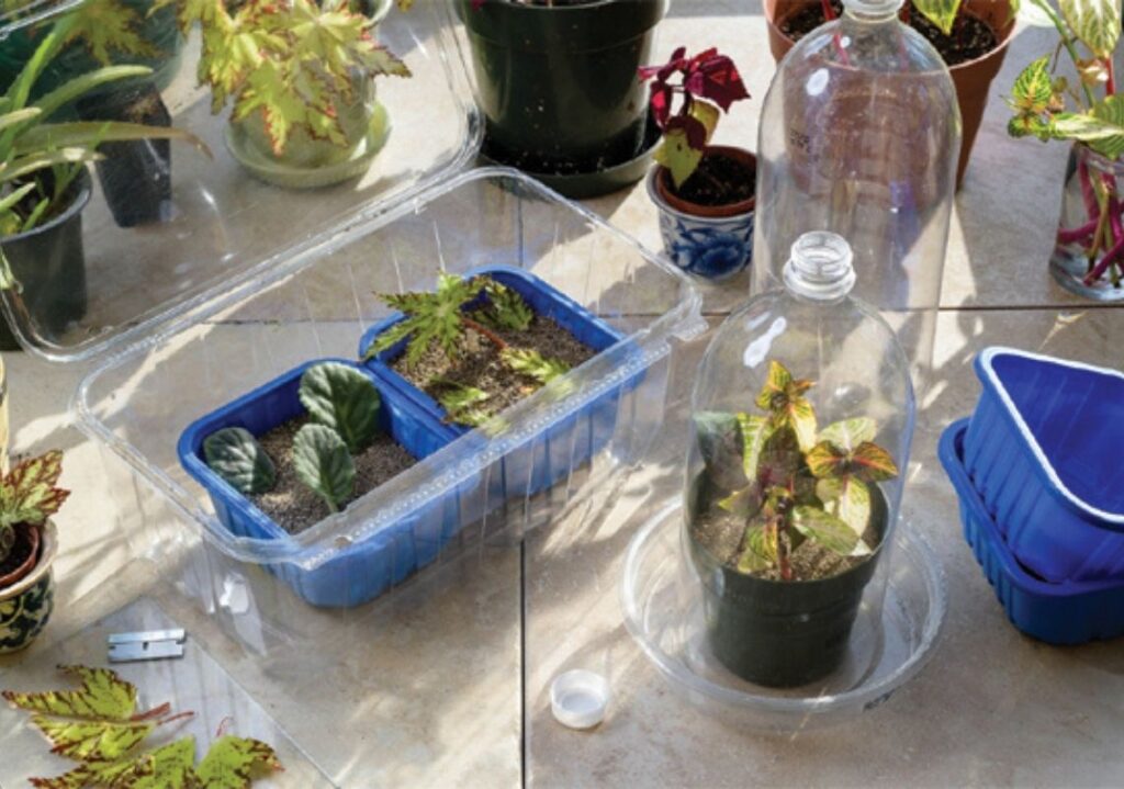 Different types of planters, and what’s best for you - Groundwork