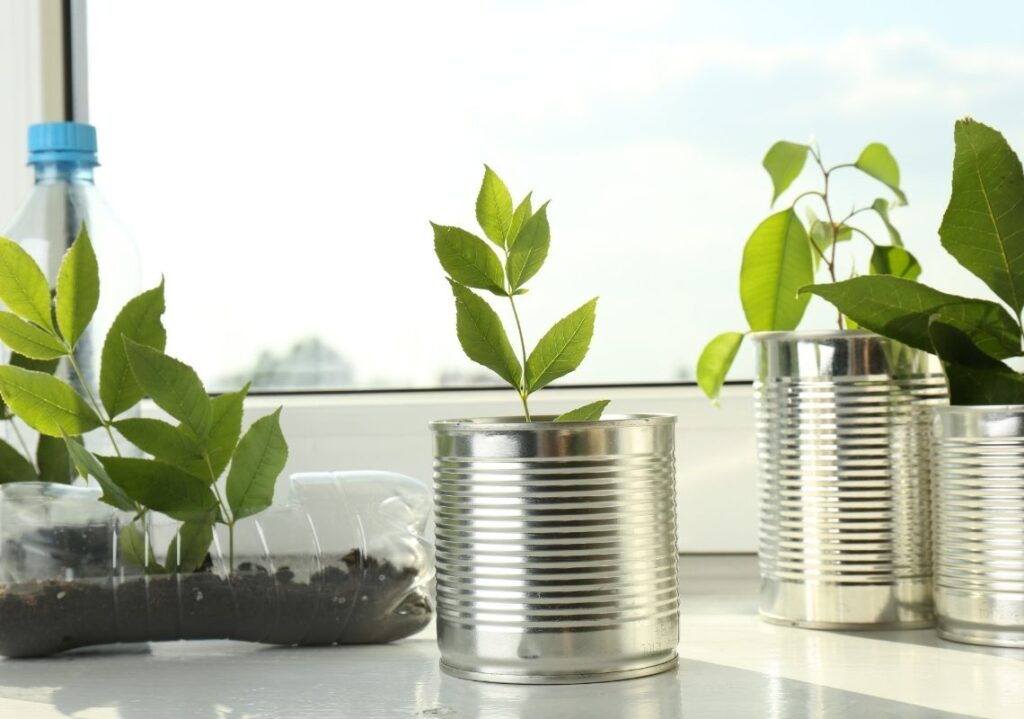 Different types of planters, and what’s best for you - Groundwork