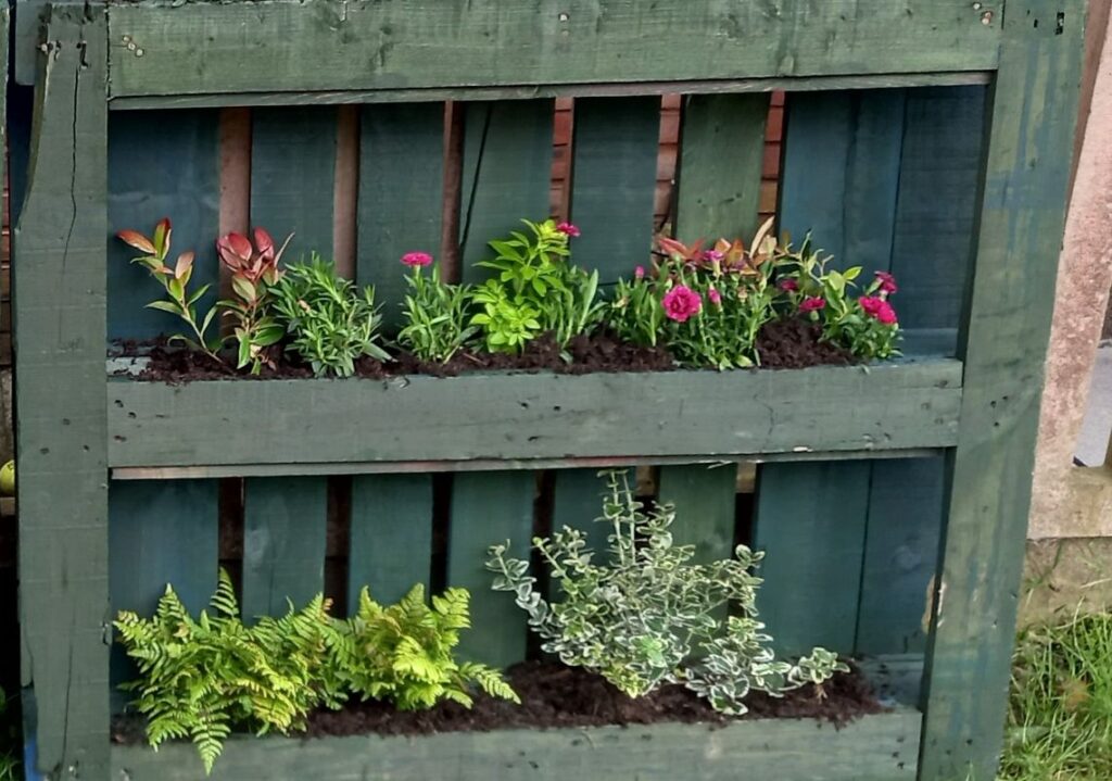 Different types of planters, and what’s best for you - Groundwork