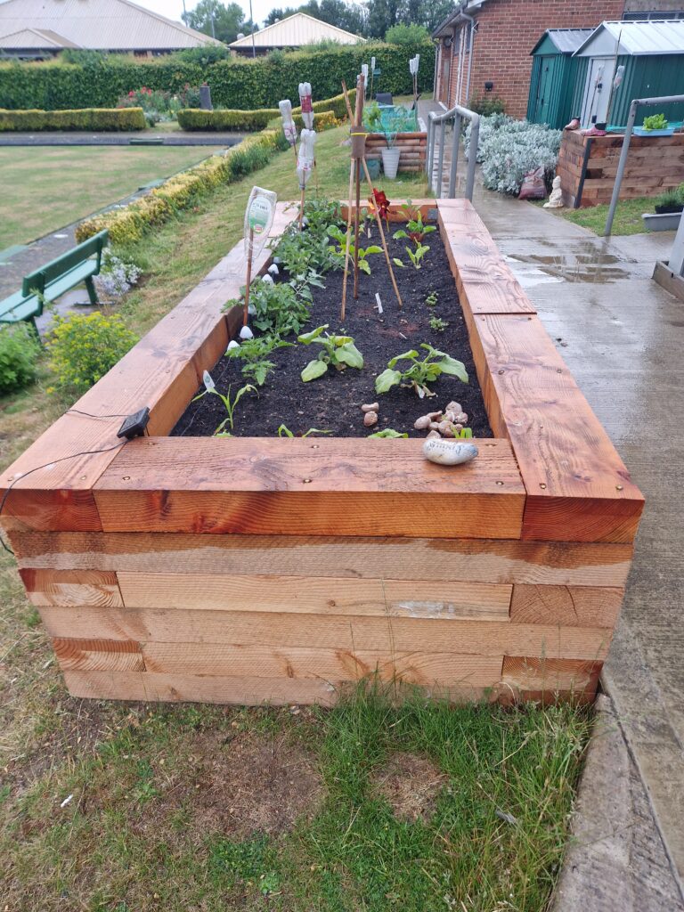 Grow, Cook Eat grant helps KHL community garden thrive - Groundwork